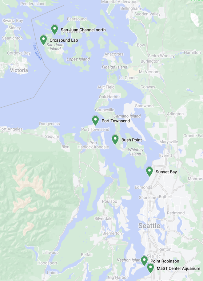 Orcasound – Listen for whales